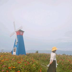 寤寐6278 