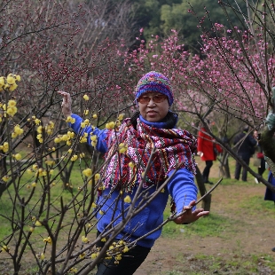 轻轻走来悄悄离去 