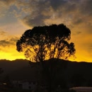 杨老师爱学习☀ 