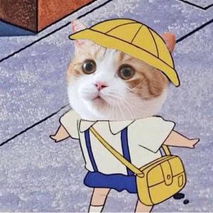 东北妹儿看电影 