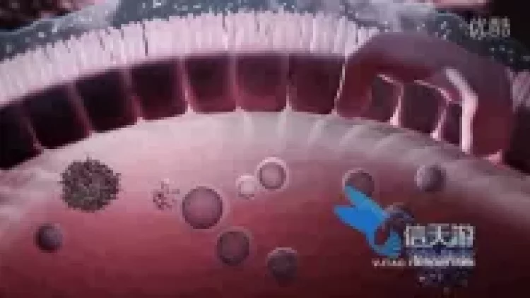 2049三维人体细胞膜细胞核修复分子结构微生物动画原理演示