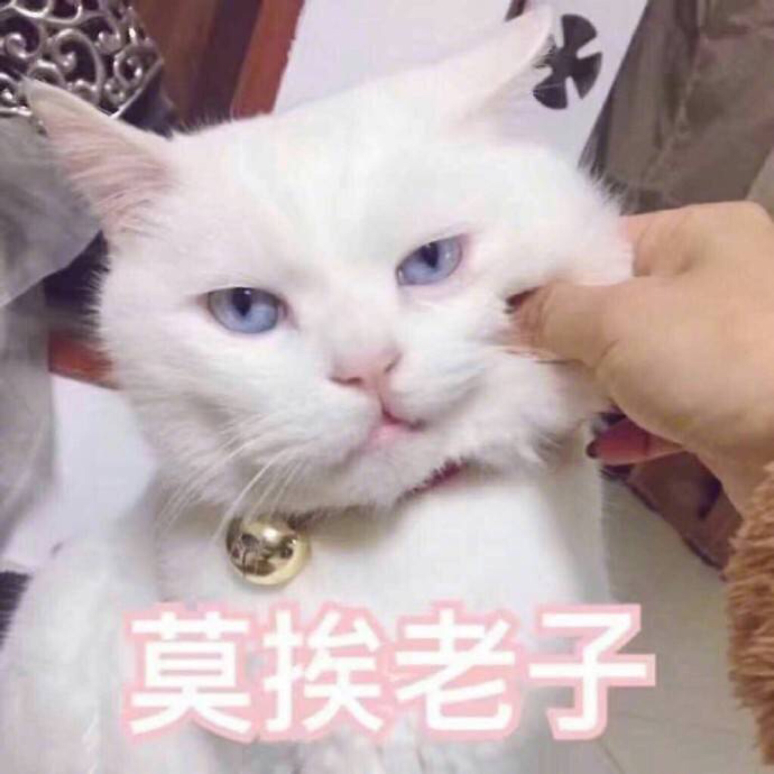 fangdaP 