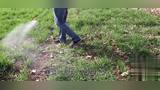 农药是如何杀死害虫的?毒死的吗,可能你一直理解错了!