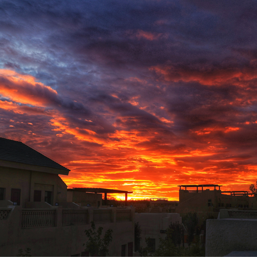 爱喝枸杞的嘴哥_AW 