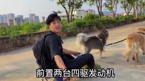 这才是环保绿色出行,网友:这真是新能源啊,百公里两把狗粮