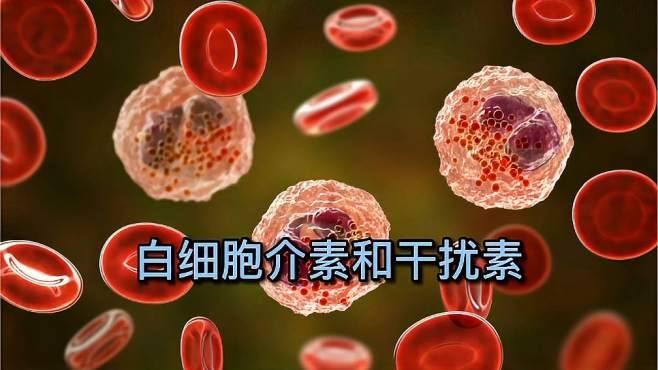 白细胞介素和干扰素有何作用?患有这些疾病的人群最好了解一下!