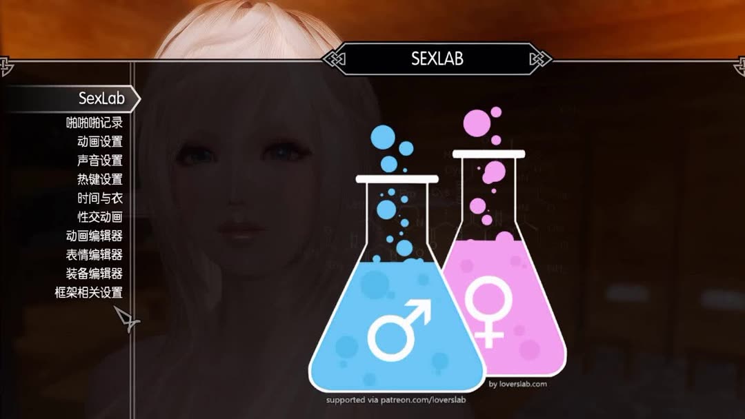 良心之作 上古卷轴5MOD安装教程2