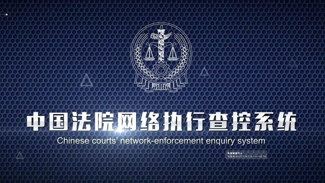 中国法院网络执行查控系统