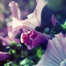 想念相惜科技玩 