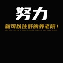影子中影子 