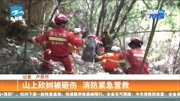 山上砍树被砸伤消防紧急营救