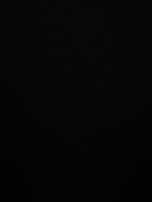 摆烂的人仔 