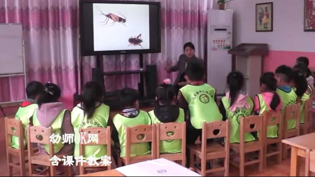 幼儿园中班科学公开课《有趣的昆虫》含PPT课件教案优质课视频