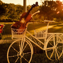 波涛一样碎了的心 