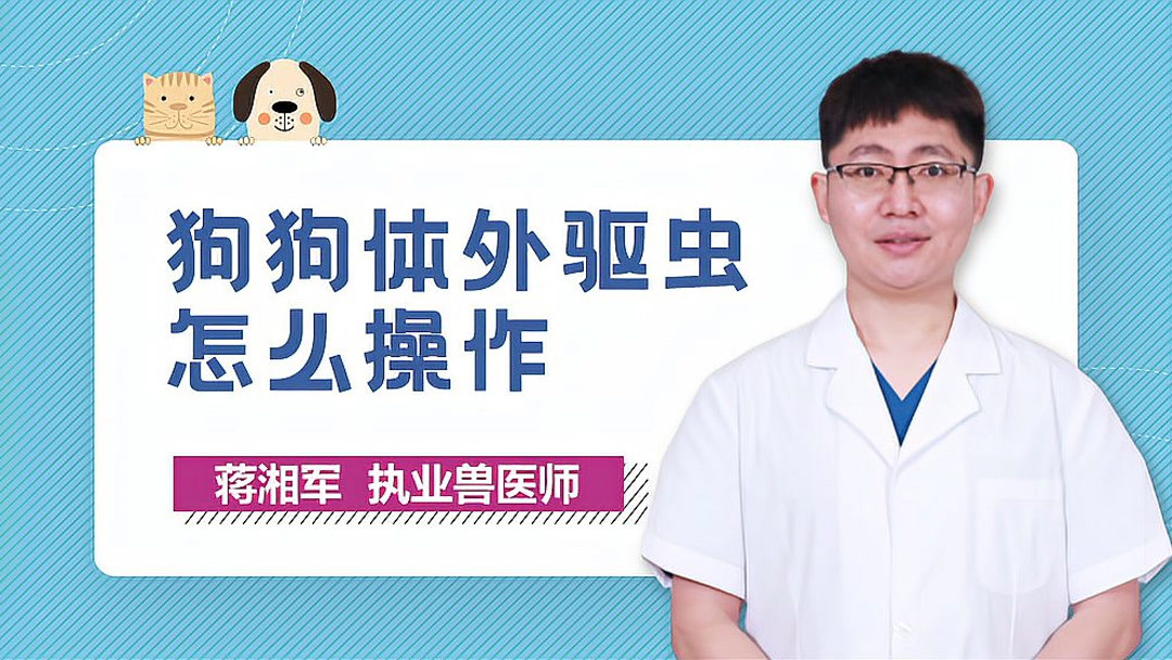 狗狗体外驱虫怎么操作?