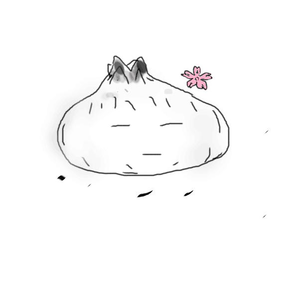 包子老师 