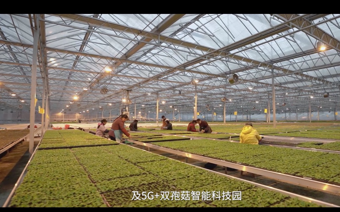 ...数字乡村平台“,实现了数字乡村 现代化建设,为春耕生产注“智”赋能!