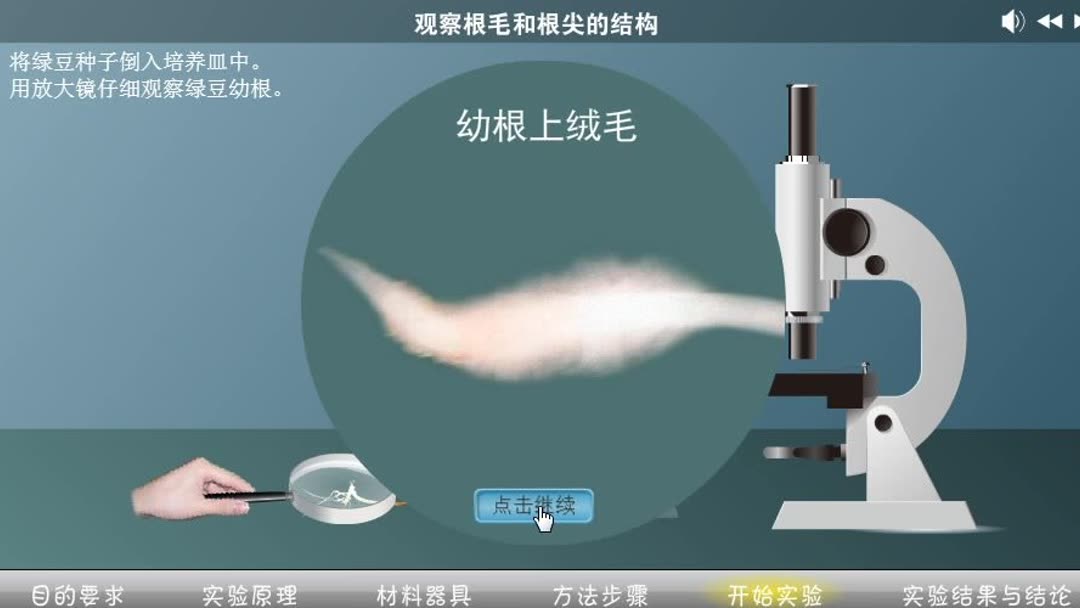 电脑模拟实验之观察根毛和根尖的结构