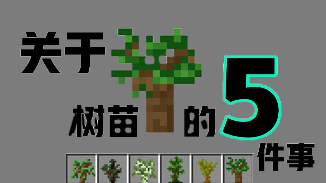 我的世界:树苗你不知道的5件事!种树时千万不要站上面,容易窒息!