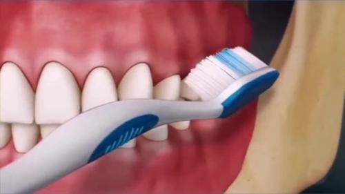 利用3D动画效果演示正确刷牙方式,用了这么多年的牙刷,你刷对了吗?