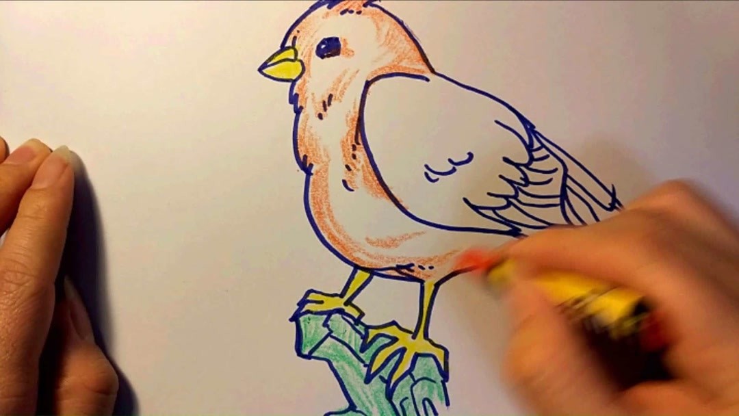 树上小小鸟!儿童简笔画