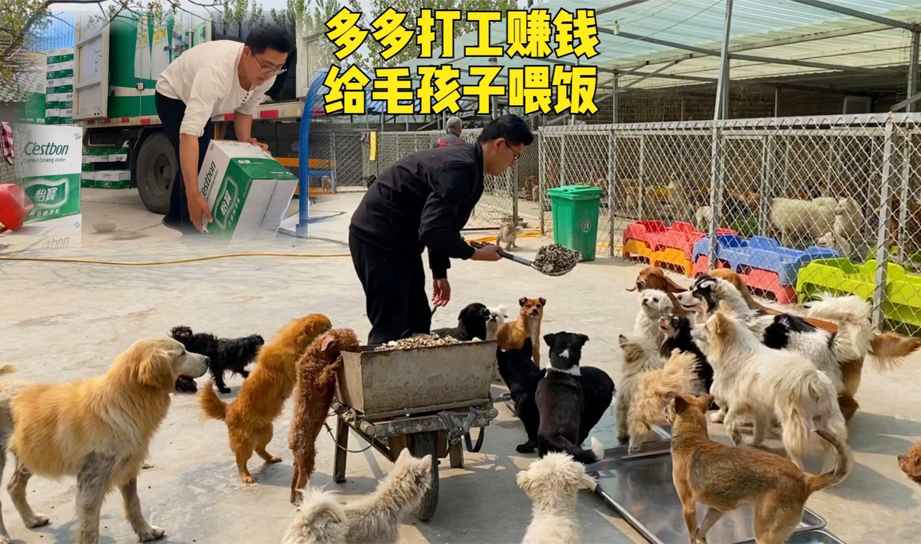 为100多只狗狗安稳,只能拼命打工挣钱,恨不得一分钱掰成两半花