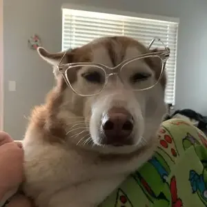 是我酱油 