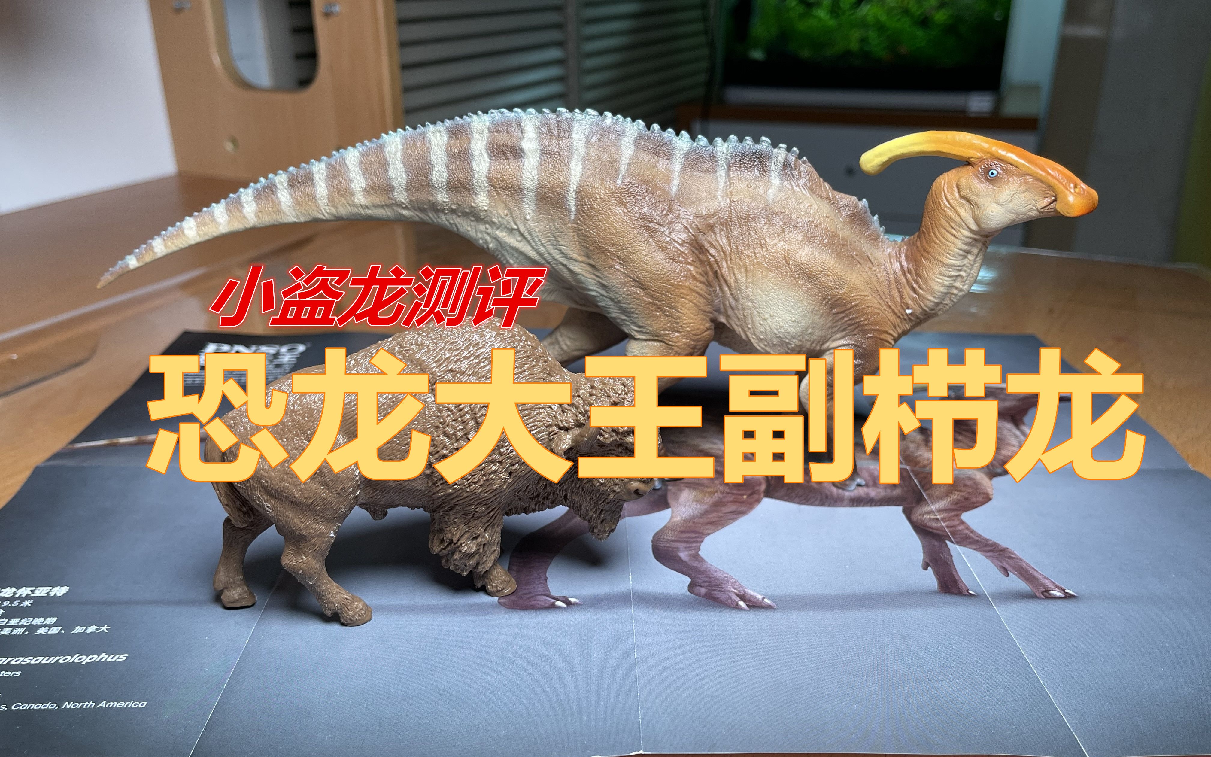 小盗龙测评:PNSO恐龙大王副栉龙(彩蛋版)