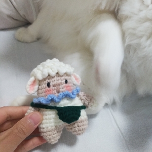 香菜可搭所有菜 