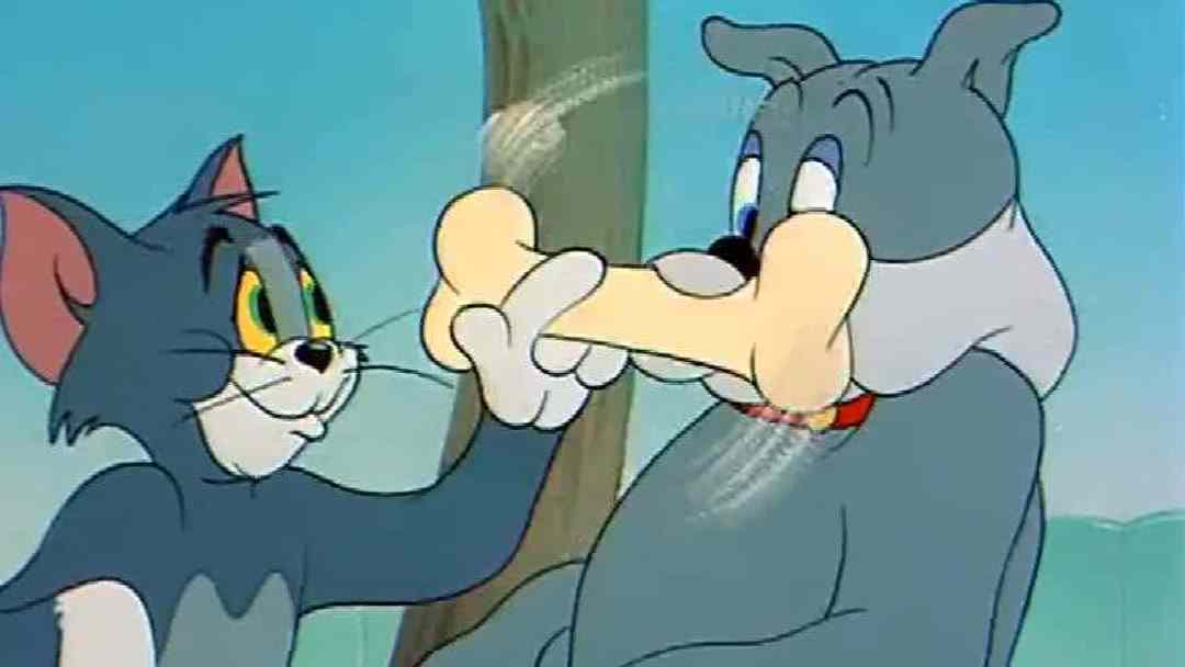 搞笑动画猫和老鼠:三只宠物为了一根骨头打的不可开交