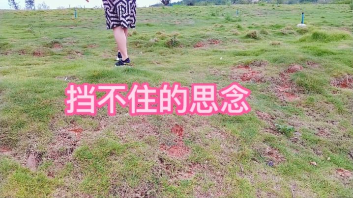 挡不住的思念是好好听的歌百听不厌