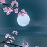 春江花朝秋月夜 