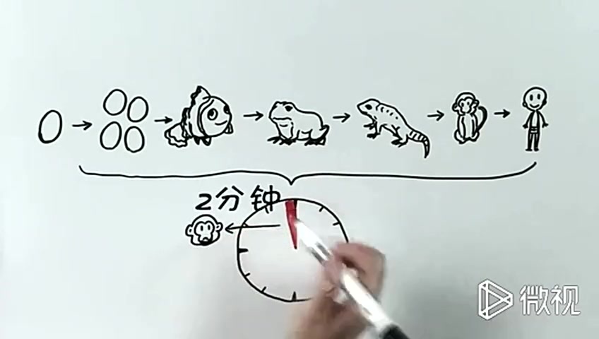 如果把地球生命的历史浓缩成1小时