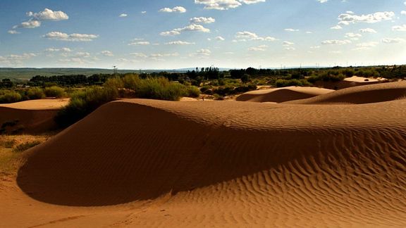 假如地球上的沙漠都变成森林,这究竟是不是好事呢?