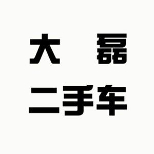 大磊二手车 