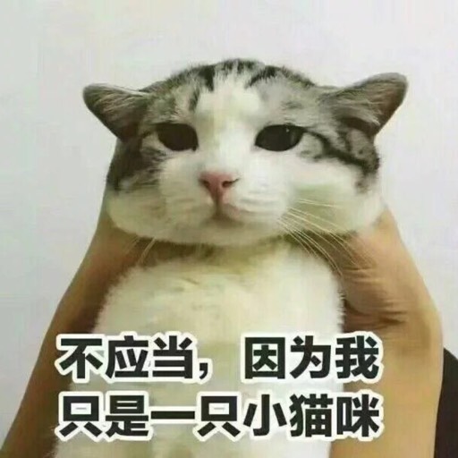 猫锤巴甫洛夫 