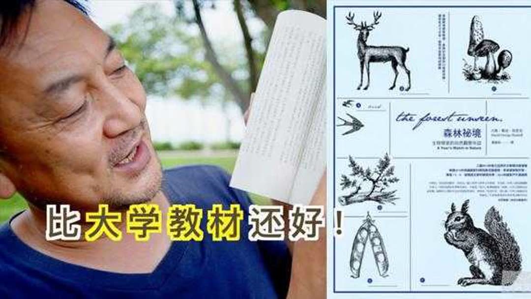 比大学教材还好的自然科学书《森林密境》字幕