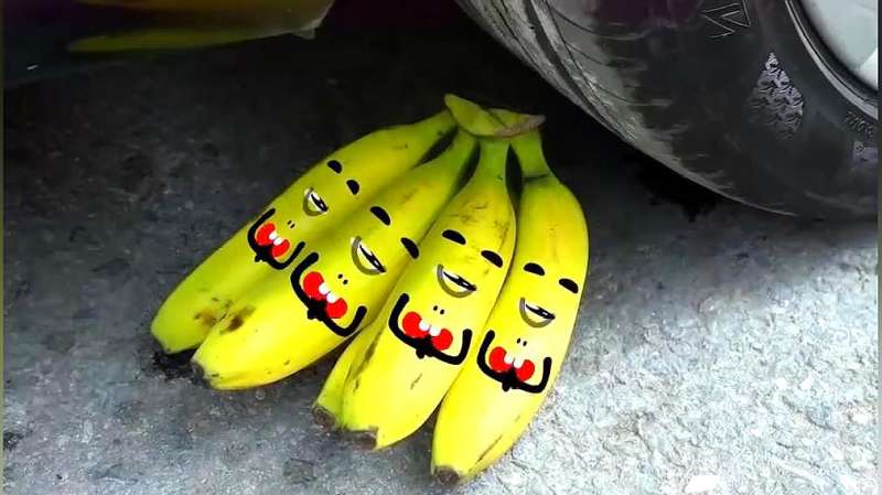 把各种搞怪香蕉模拟人声放在车轮下,好好玩