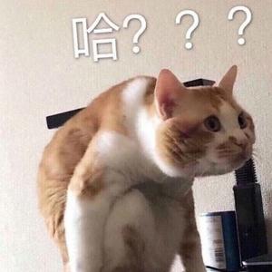 世界记忆大师龙雅 