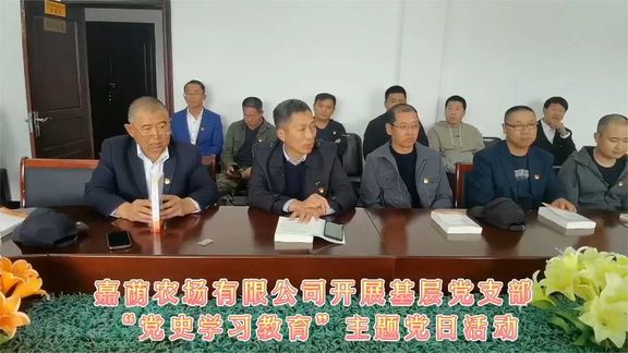 嘉荫农场有限公司开展基层党支部“党史学习教育”主题党日活动
