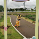 扎根农村的老郭 