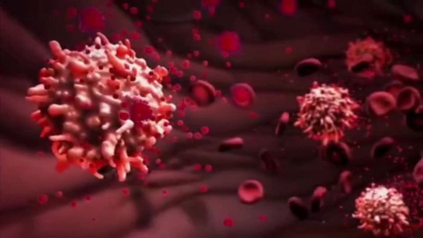 新型冠状病毒是如何感染人体的