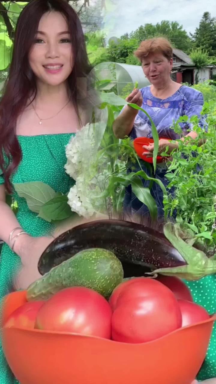 婆婆的农家小院你们喜欢吗?#俄罗斯 #我的乡村生活 #婆媳