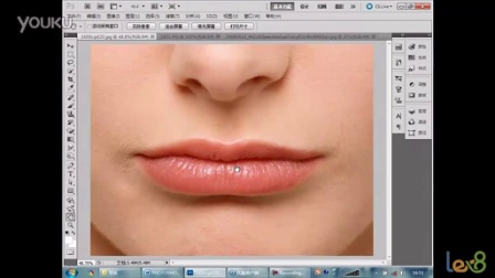 Photoshop基础教程-33快速蒙版