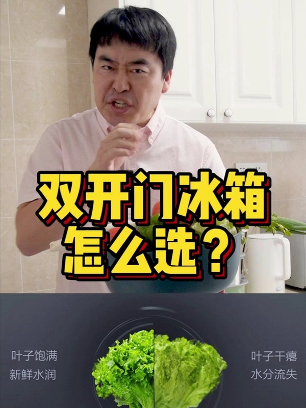 双开门冰箱推荐来了,照着买就行了