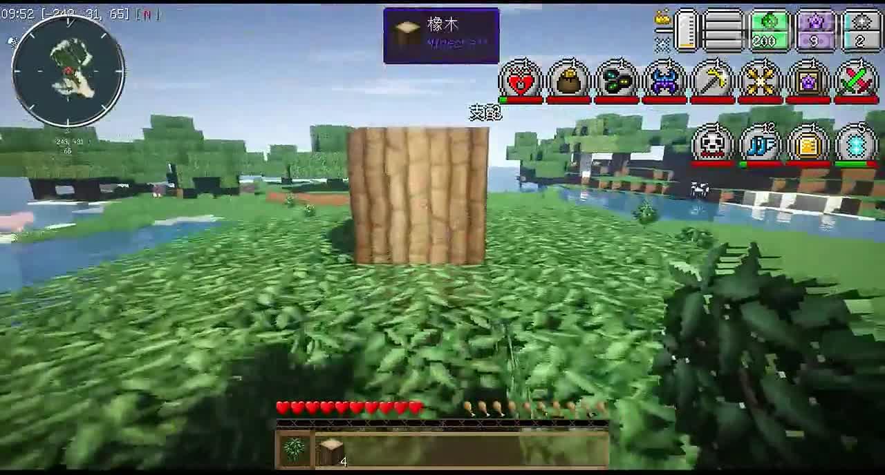 我的世界 Minecraft《小本解说 虚无世界2》03提莫必须死?