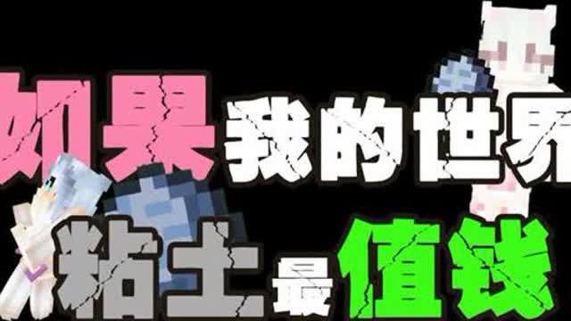 如果我的世界粘土最值钱