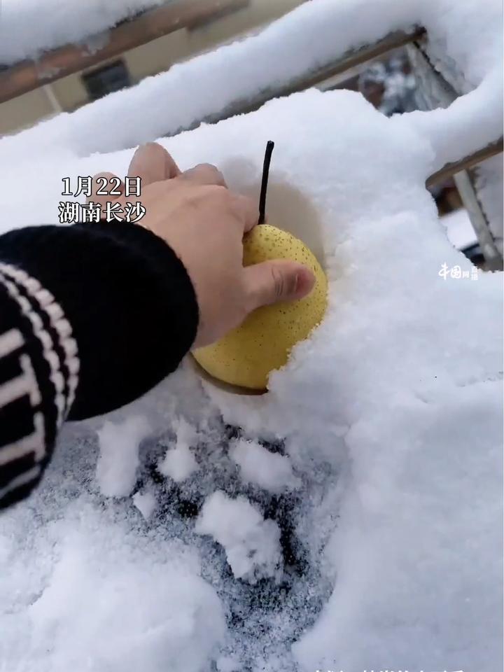 长沙女子在线请教东北老铁如何做冻梨