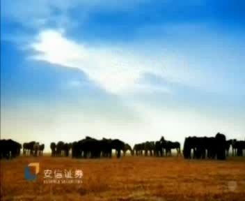 安信证券 您的心伙伴 15s