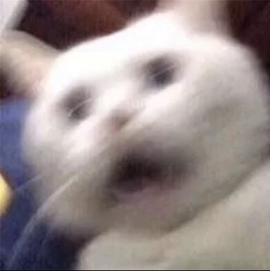 偶尔开开都不行么T_T 